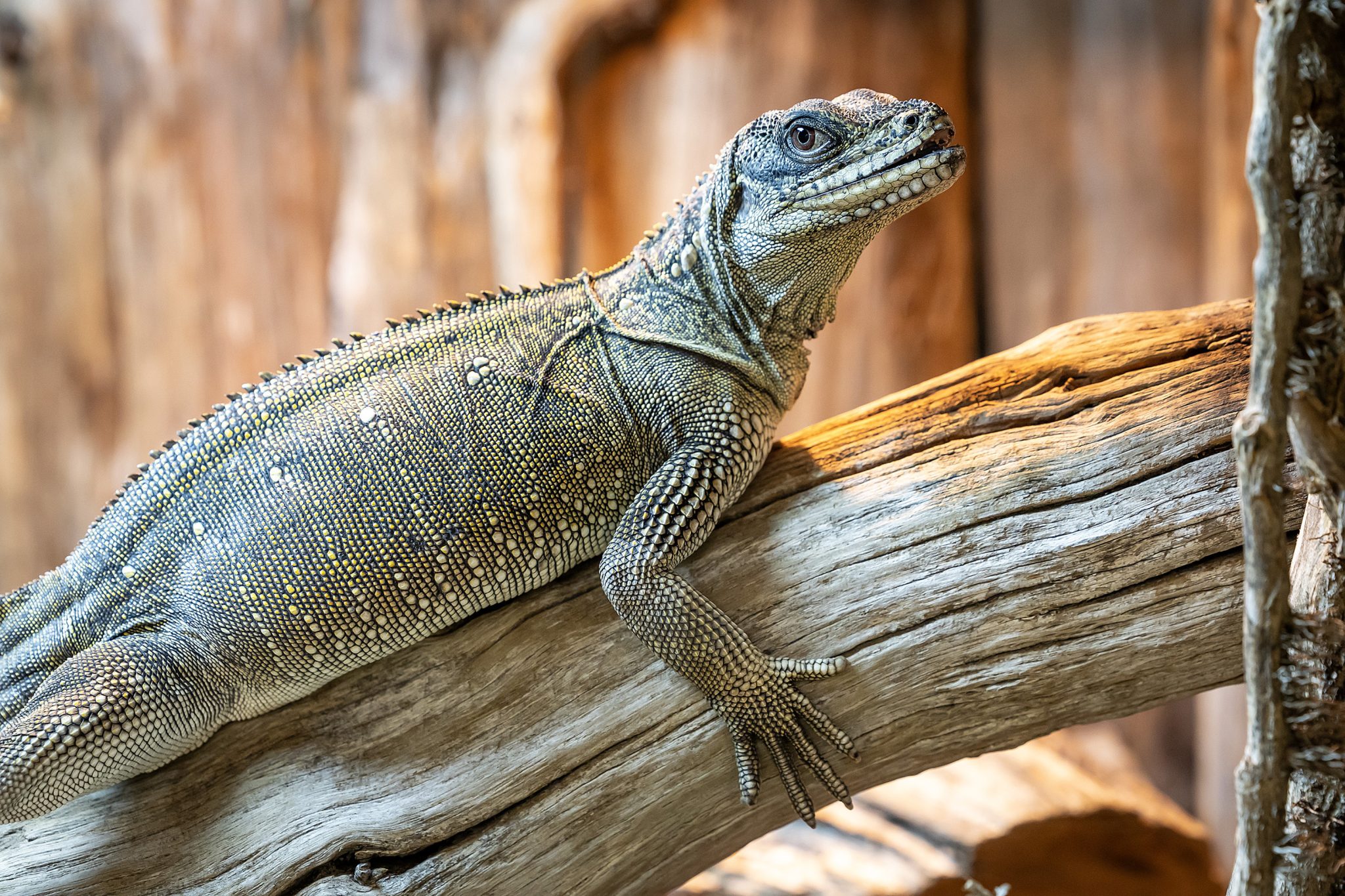 Animal Science & Zoo Biology Facilities | University Centre Sparsholt