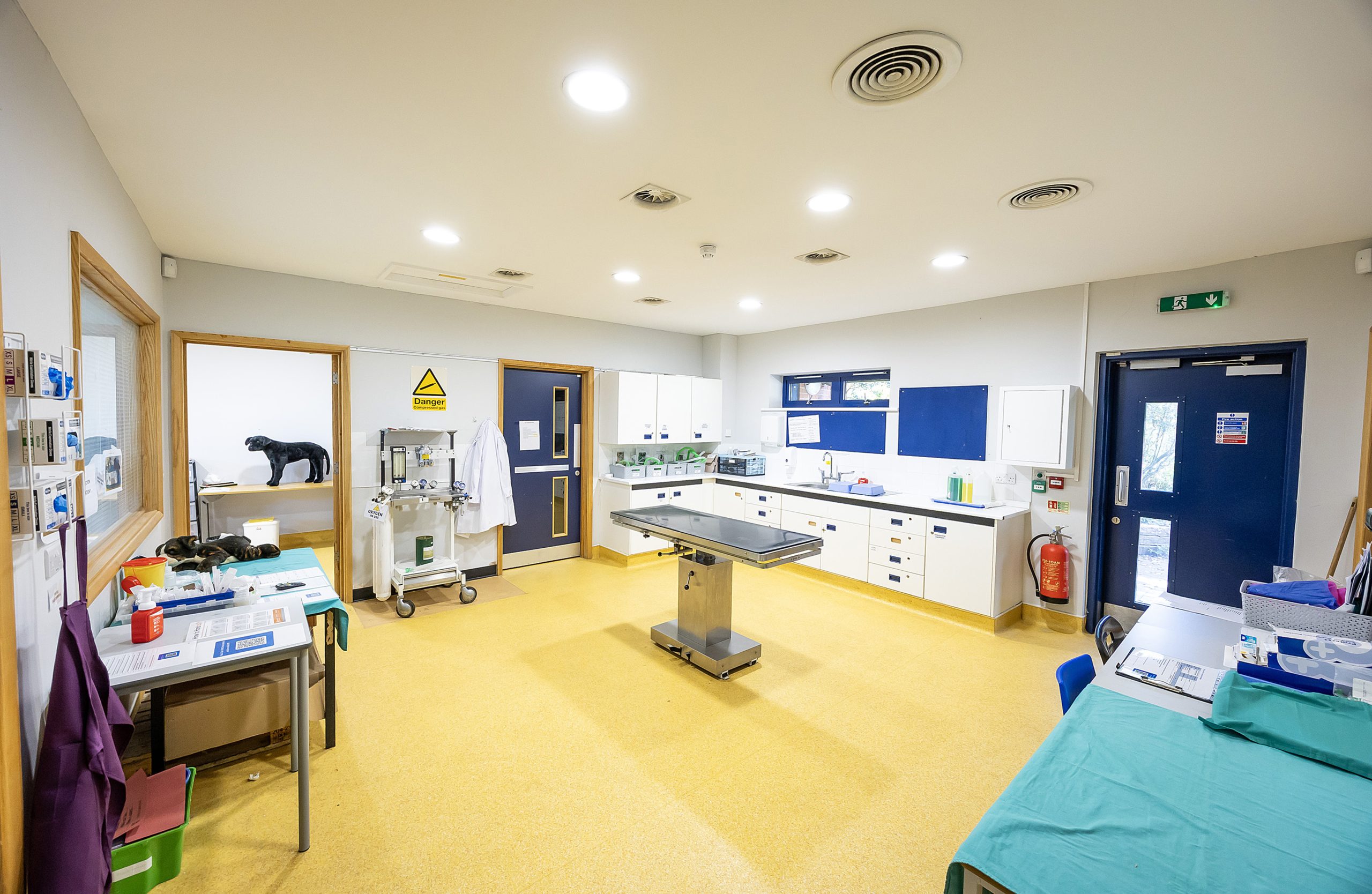 Veterinary Nursing Facilities | University Centre Sparsholt